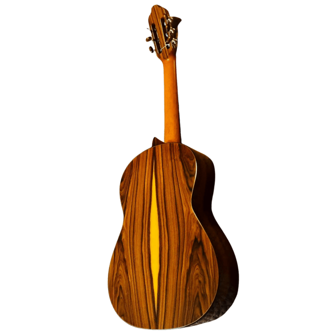 Guitarras Pao Ferro – Jose Salinas – Guitarras